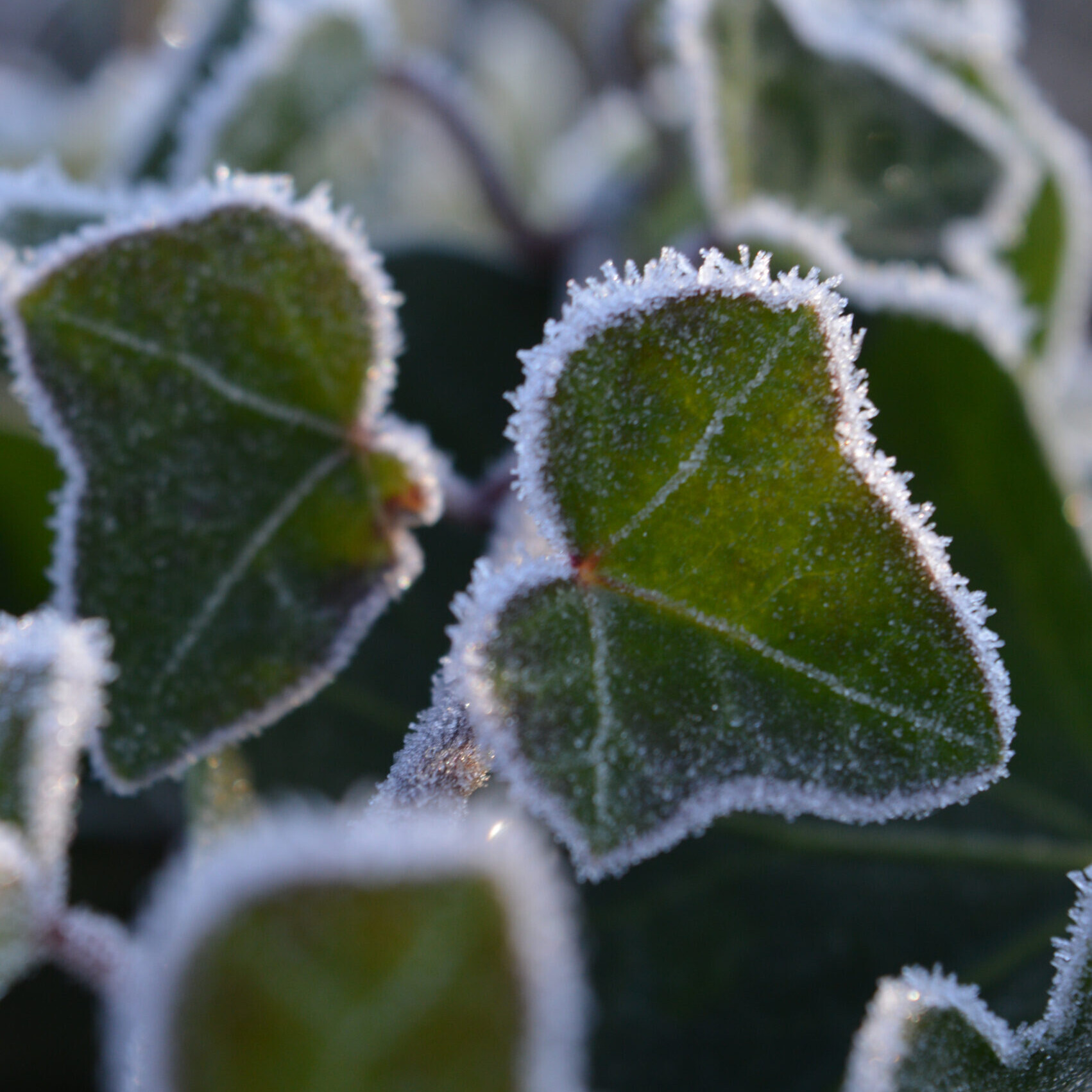 Leben – St. Joseph München